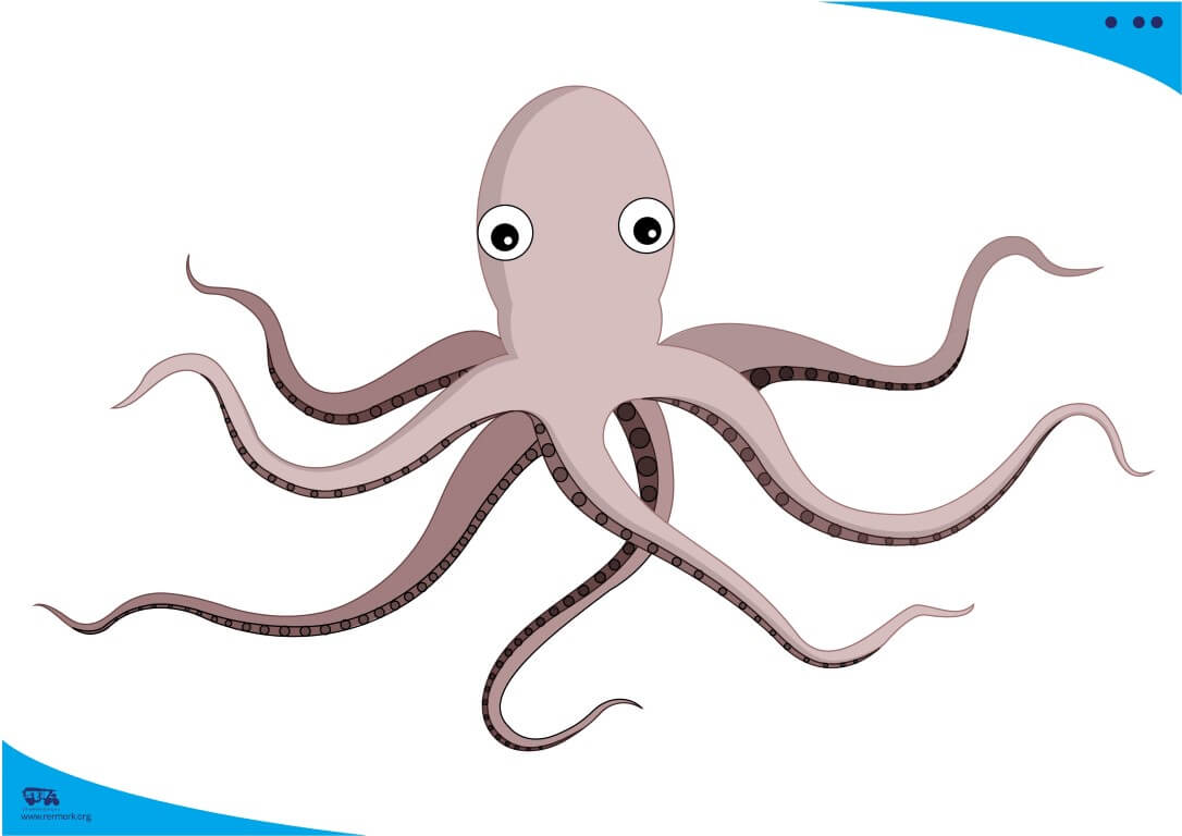 មឹកពីងពាង (ព៌ណ/ខ្មៅស) – Rermork Digital Library