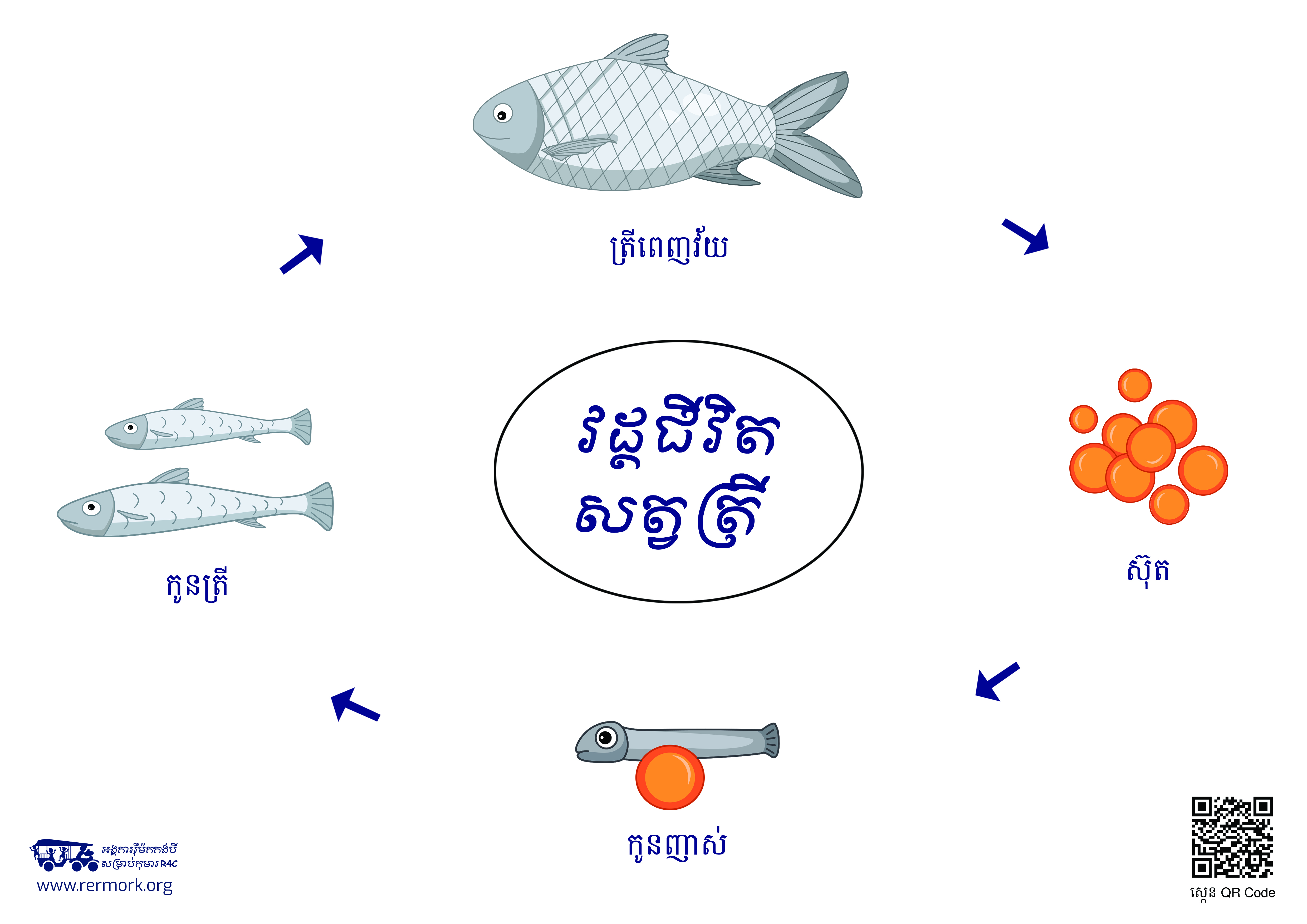 វដ្តជីវិតសត្វត្រី – Rermork Digital Library Staging