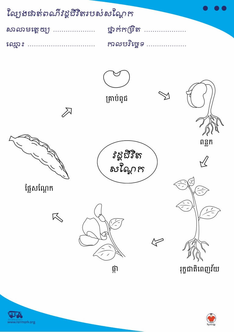 វដ្តជីវិតសណ្តែក – Rermork Digital Library