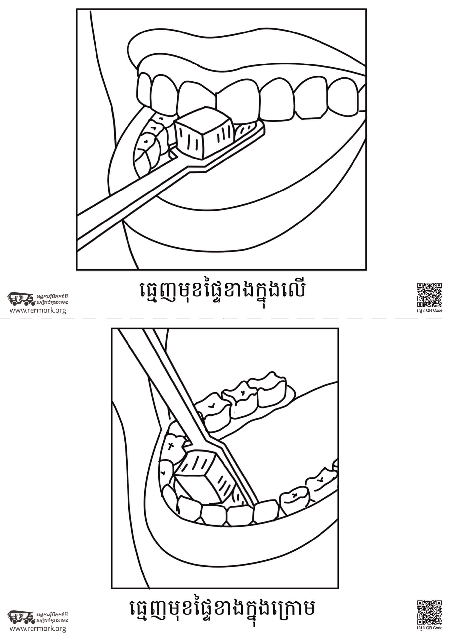 របៀបដុសធ្មេញ (សខ្មៅ) – Rermork Digital Library